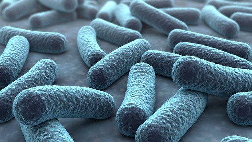 Vivalytic PCR rapid test for the detection of C. difficile. | Vivalytic