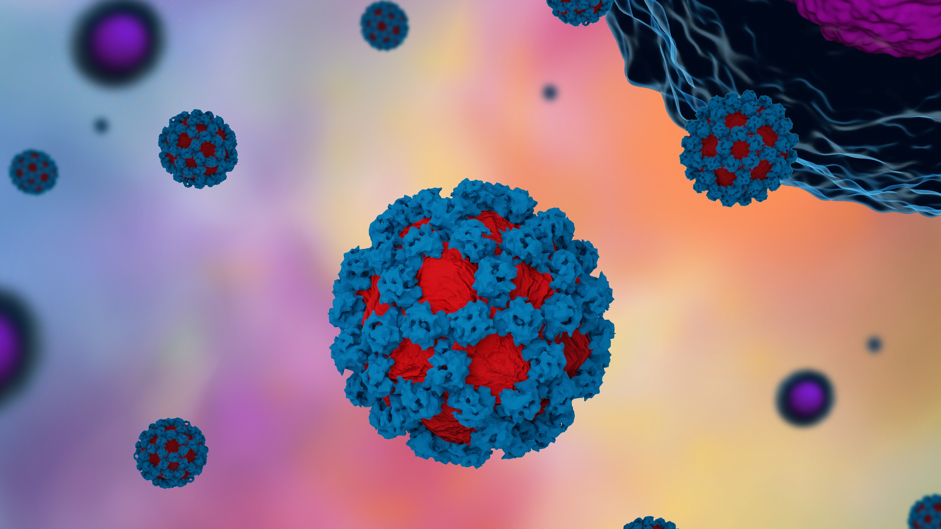 Vivalytic PCR Rapid Test For The Detection Of Norovirus Vivalytic